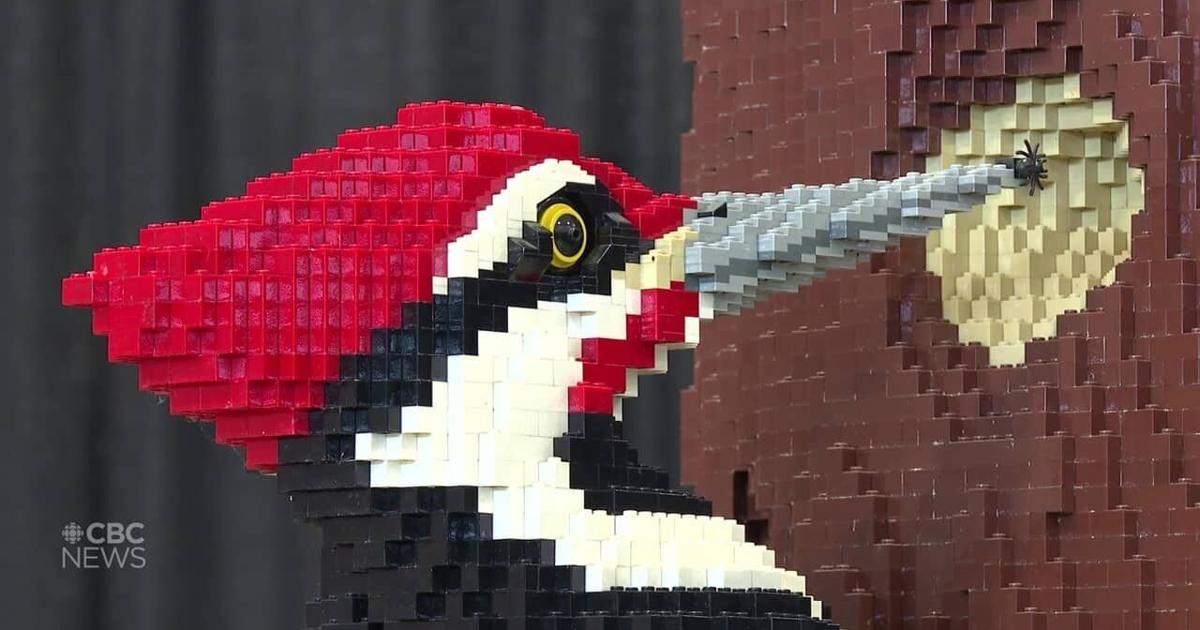 Sean Kenney Previews Lego Animal Super Powers Exhibit | Nation & World ...